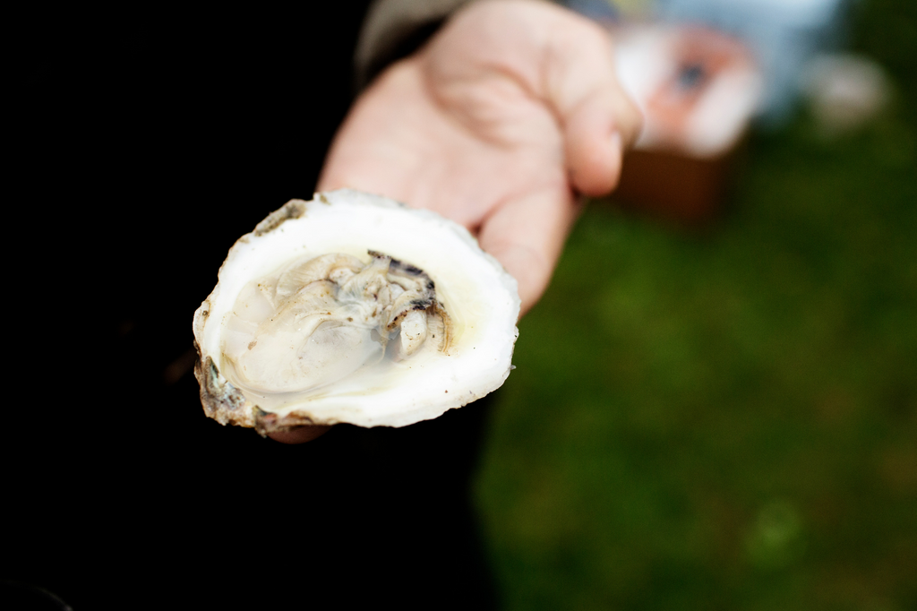 The Difference Between Crustaceans & Shellfish (And How to Enjoy Both ...