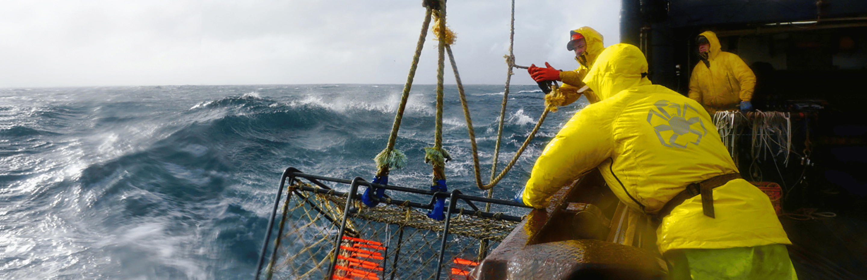 The Economic Impact of Alaskan King Crab Fishing – Alaskan King Crab Co.