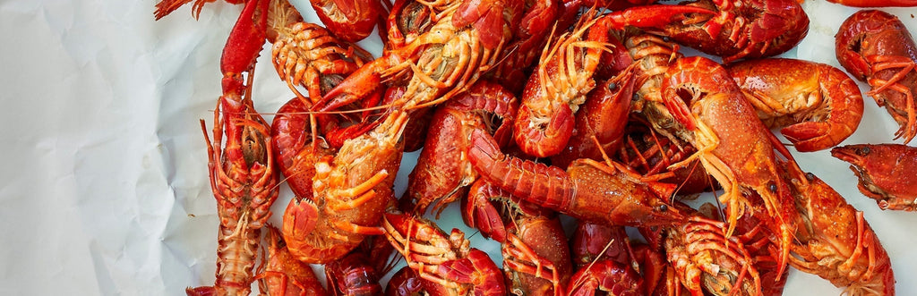 Crawfish 101 – Alaskan King Crab Co.