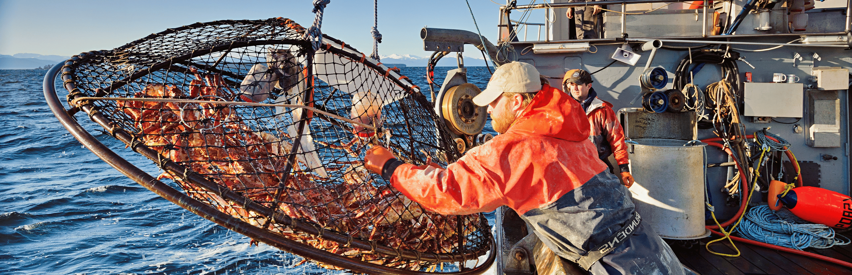 Alaskan King Crab vs. Alaskan Snow Crab: What’s the Difference ...