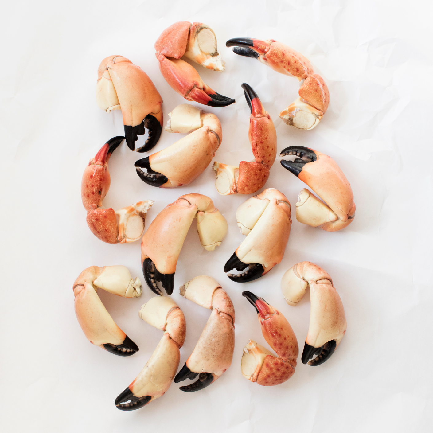 Florida Stone Crab Claws | Alaskan King Crab Co.