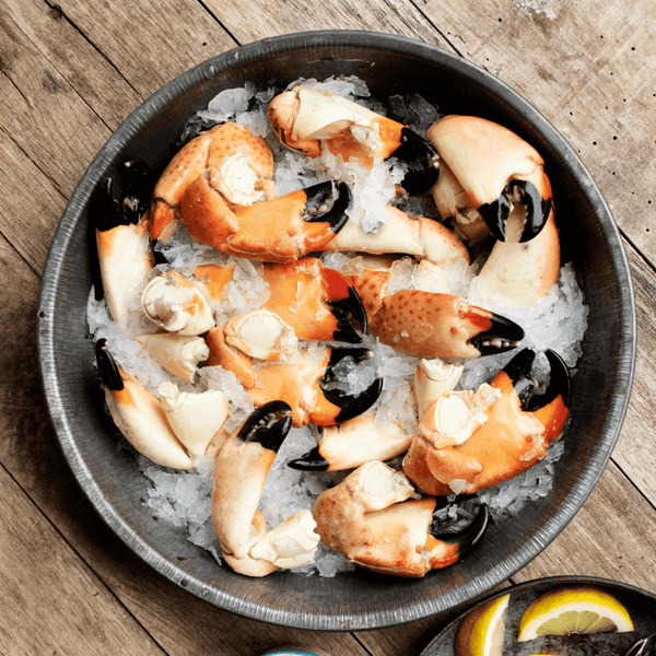 Florida Stone Crab Claws | Alaskan King Crab Co.