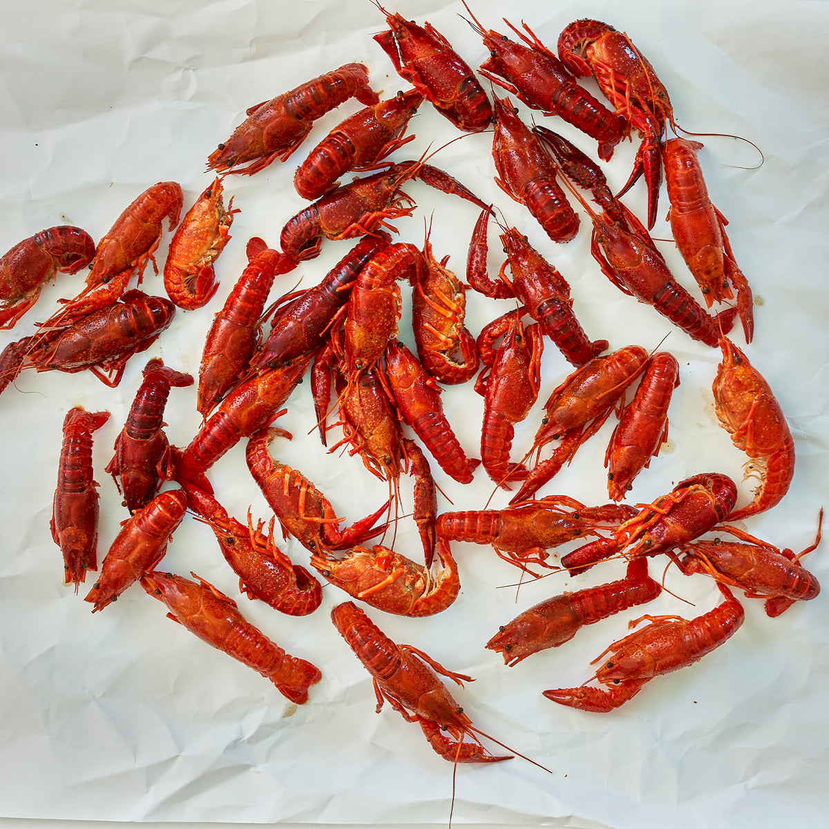 King crawfish store